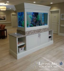 Custom Aquarium Design: Your Complete Guide