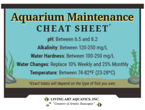 Aquarium Maintenance Service: Your Complete Guide