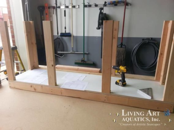 View Our Custom-Made Aquariums Gallery – Living Art Aquatics