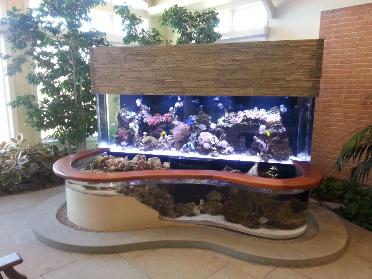 Aquarium Design in Crystal Lake, IL – Living Art Aquatics